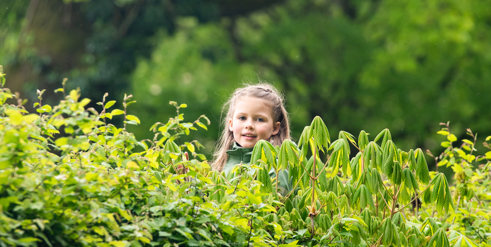 Kita unter Baumkronen - KinderKinder